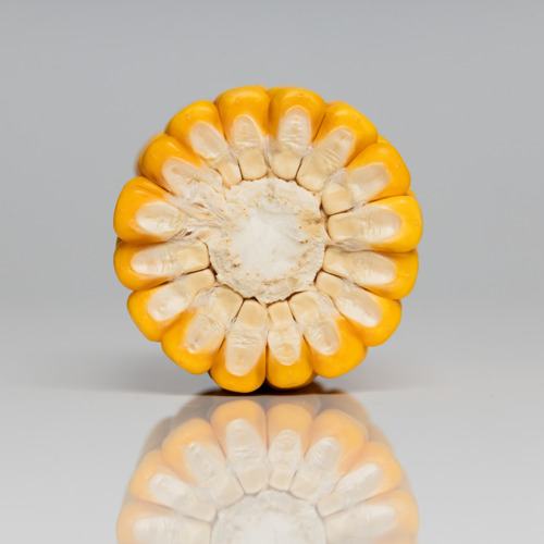 KWS EMPORIO - wejdź na wyższy poziom plonowania- KWS SAAT SE & Co. KGaA